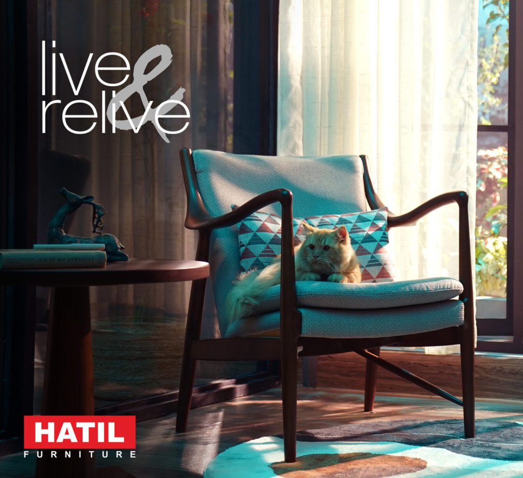 HATIL’s Kaizen Symphony in Craftsmanship: Commitment to Quality in ...